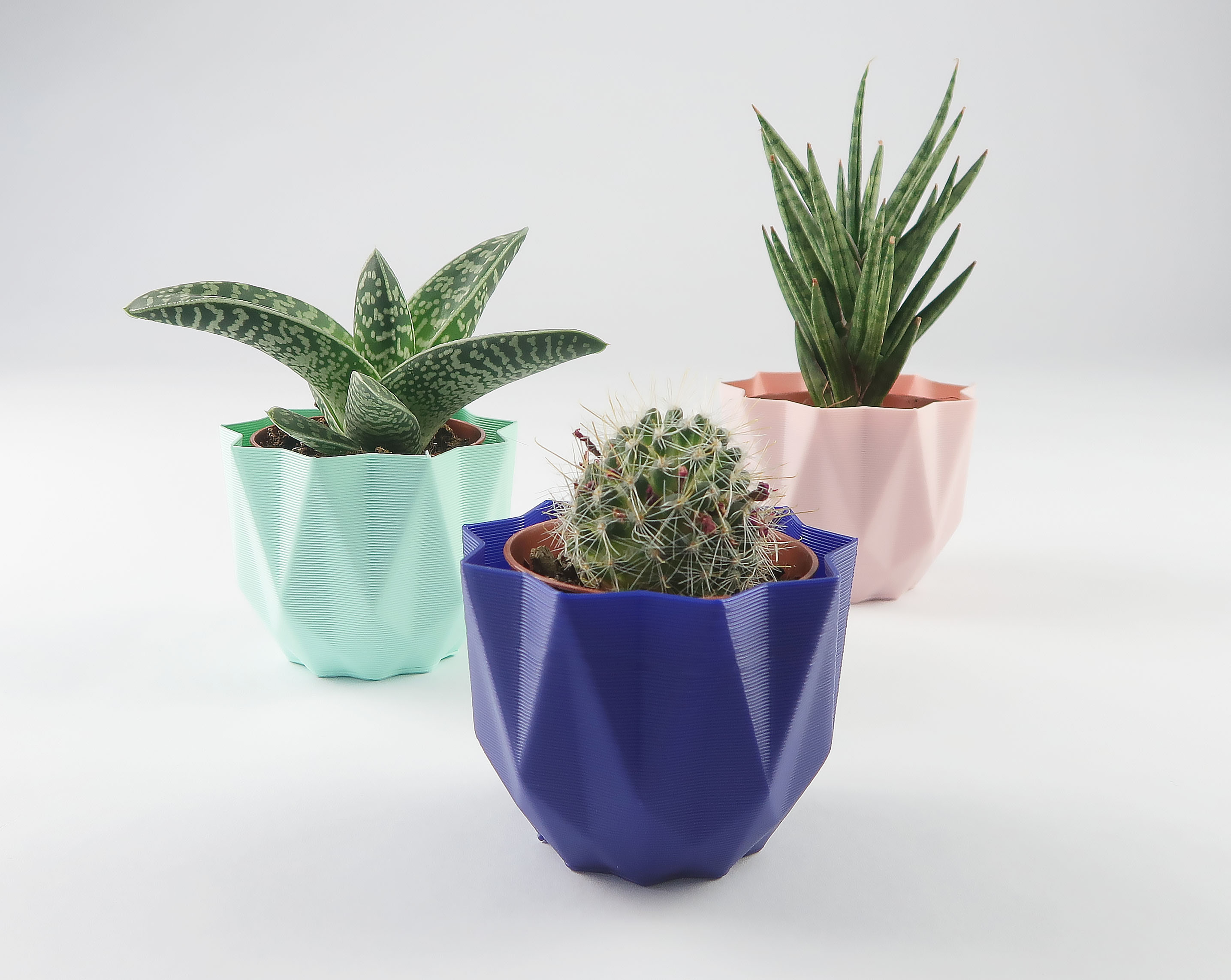 🪴 Low poly pot / Plant cactus・ STL File for ・Cults