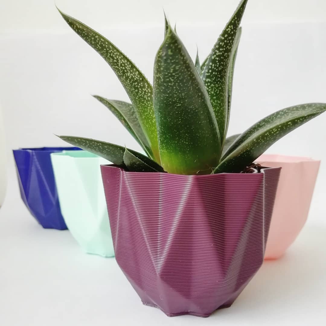🪴 Low poly pot / Plant cactus・ STL File for ・Cults
