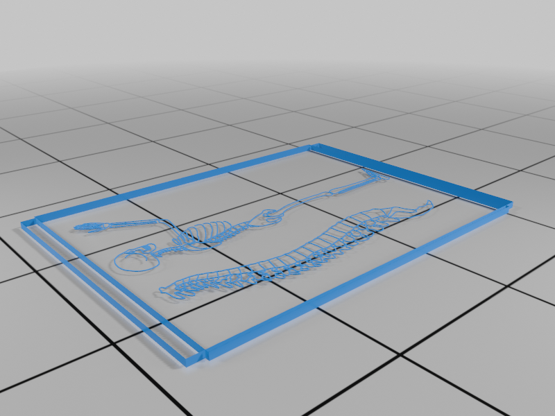 Free 3D file Tactile image: skeleton (side) & spine 💀 ・Model to ...