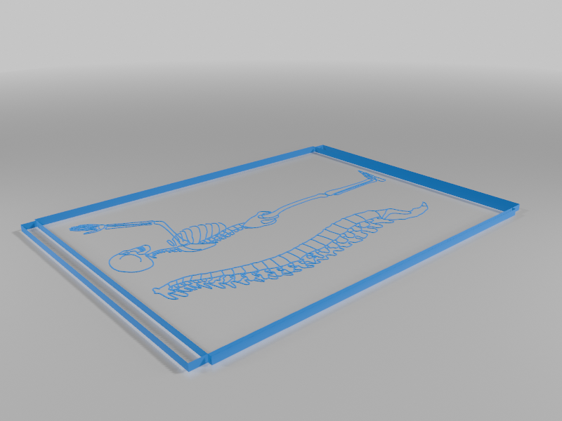 Free 3D file Tactile image: skeleton (side) & spine 💀 ・Model to ...