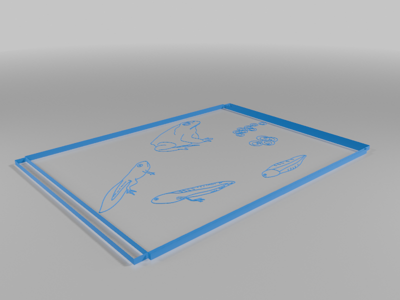 🐸 Tactile image: frog metamorphosis・Free STL File for 3D printing・Cults