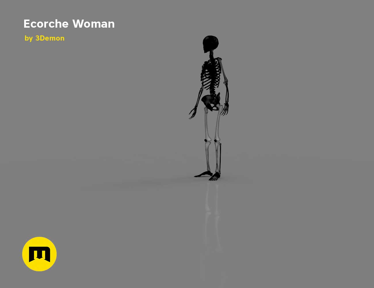 Файл OBJ Human model Ecorche woman 👩 (3MF)・3D модель для печати скачать ...