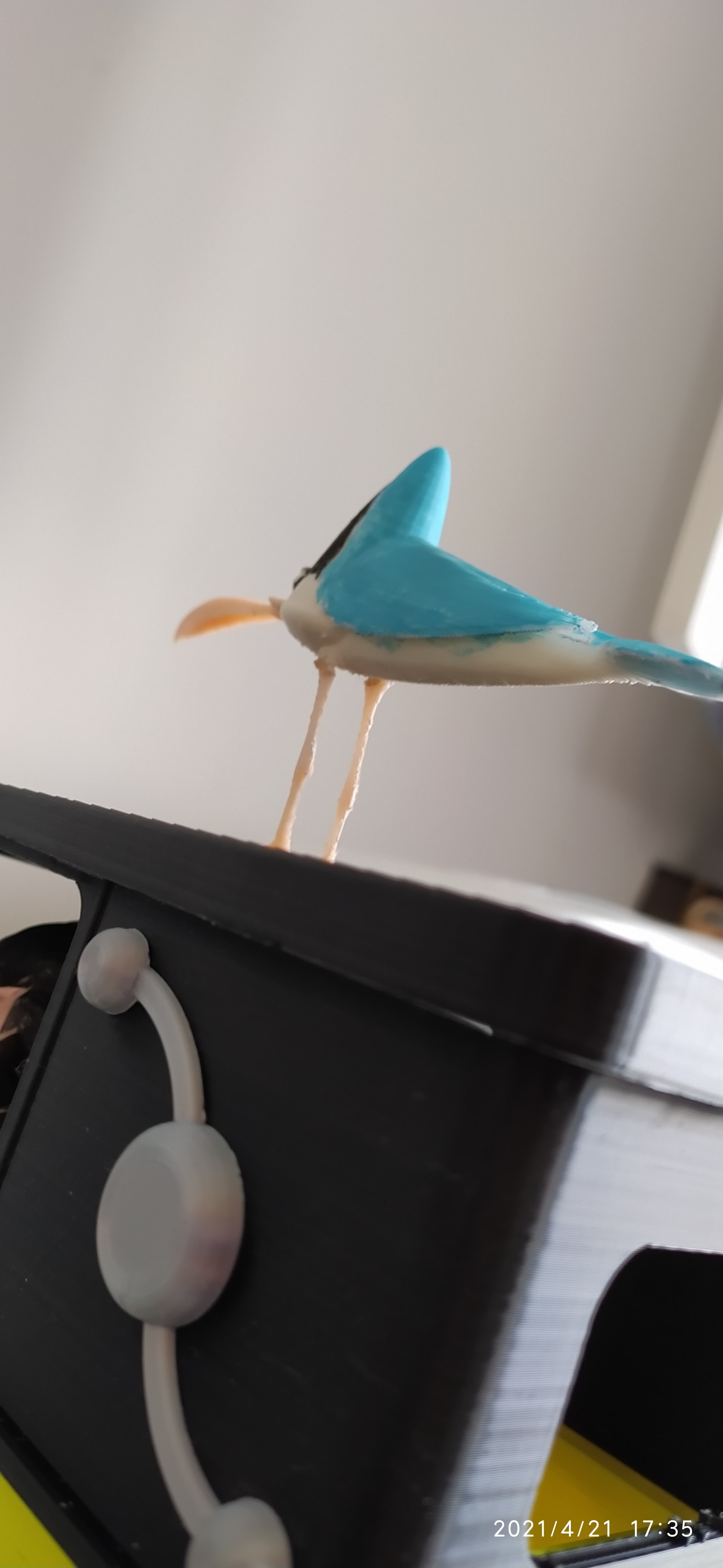 Free 3D file Gaston's Black-headed Gull 📱 ・3D print object to download ...