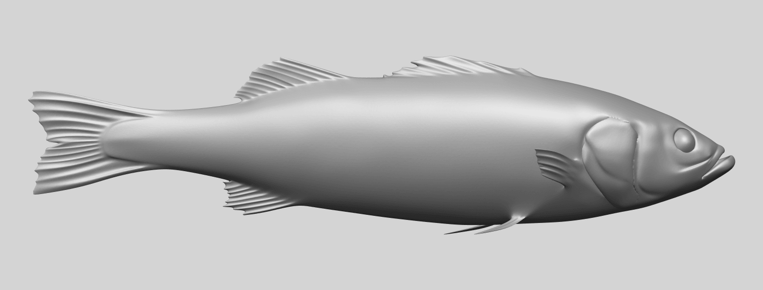 🐠 Fish 03・Free 3D File for ・Cults