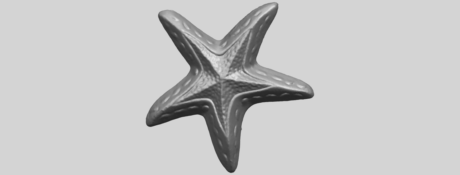 Free 3D file Starfish 01 🚗 ・3D printable model to download・Cults