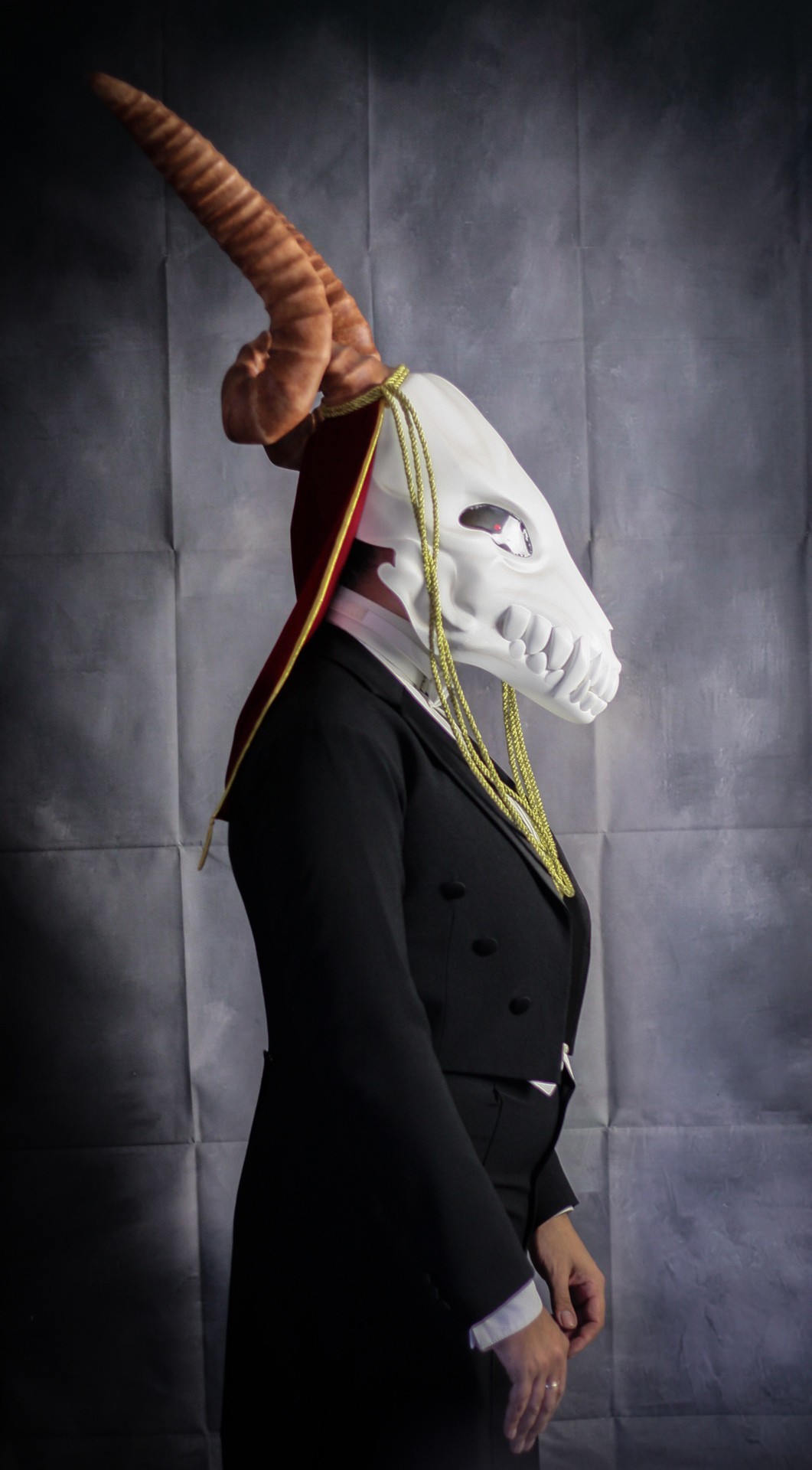 💀 Elias Ainsworth Mask | The Ancient Magus' Bride Mask・ STL File for 3D ...