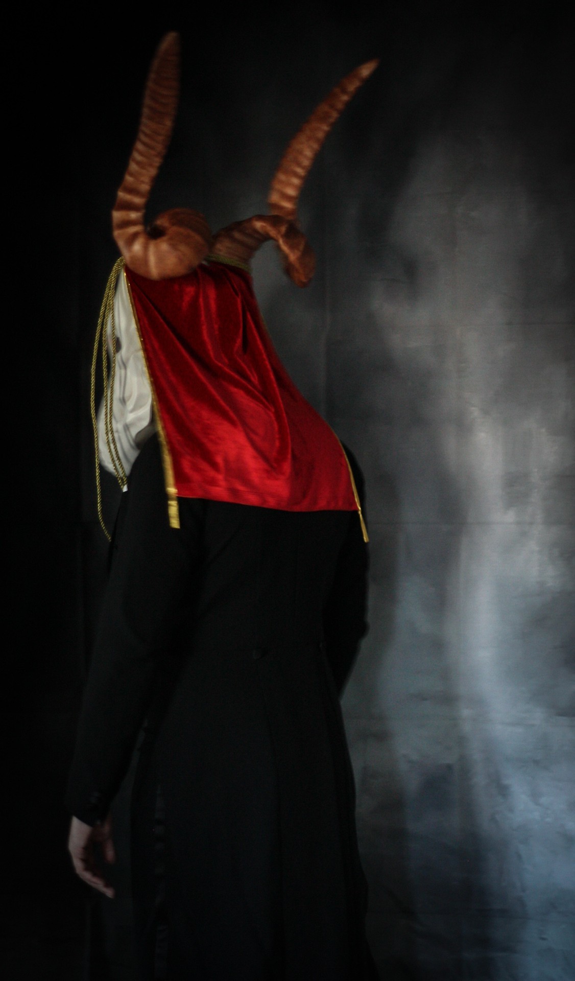 3D printable Elias Ainsworth Mask | The Ancient Magus' Bride Mask ...