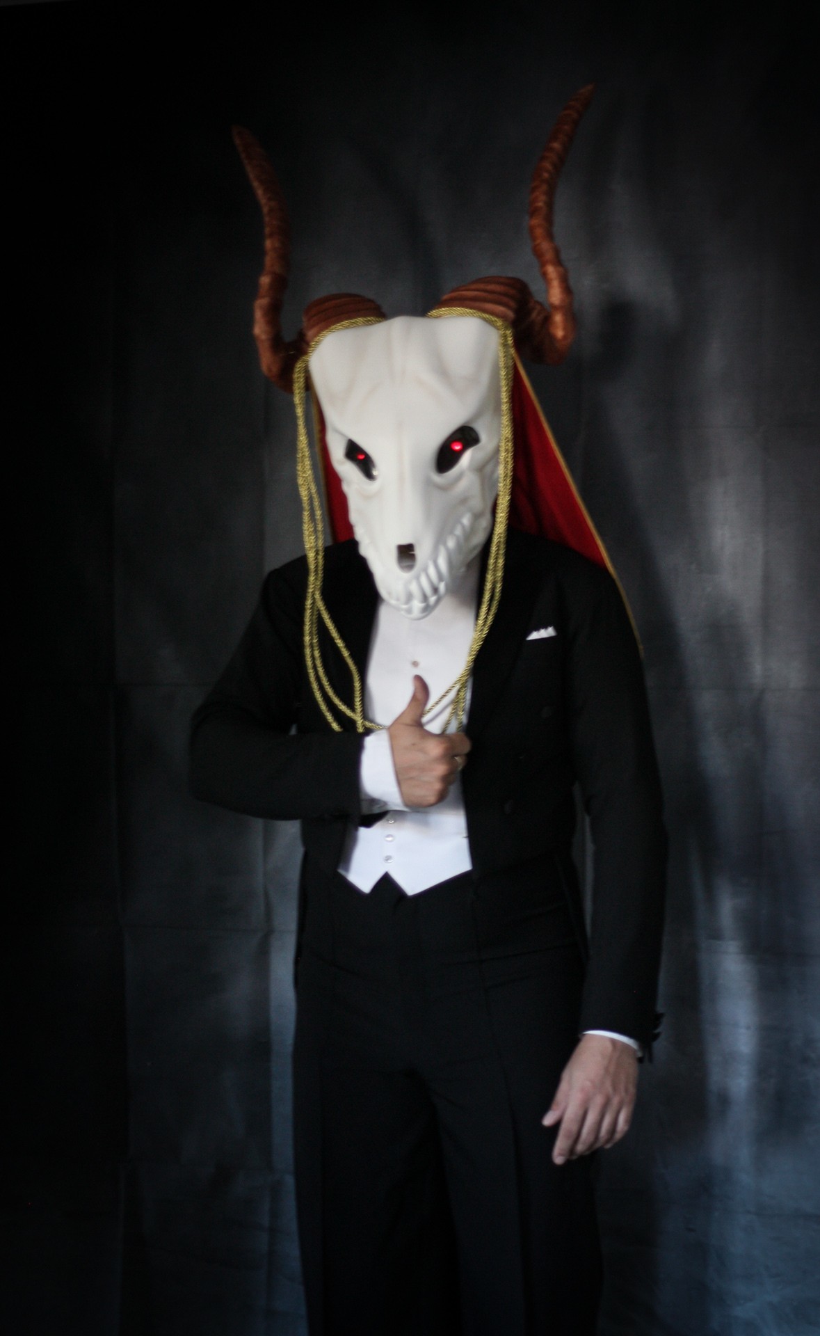 3D printable Elias Ainsworth Mask | The Ancient Magus' Bride Mask ...