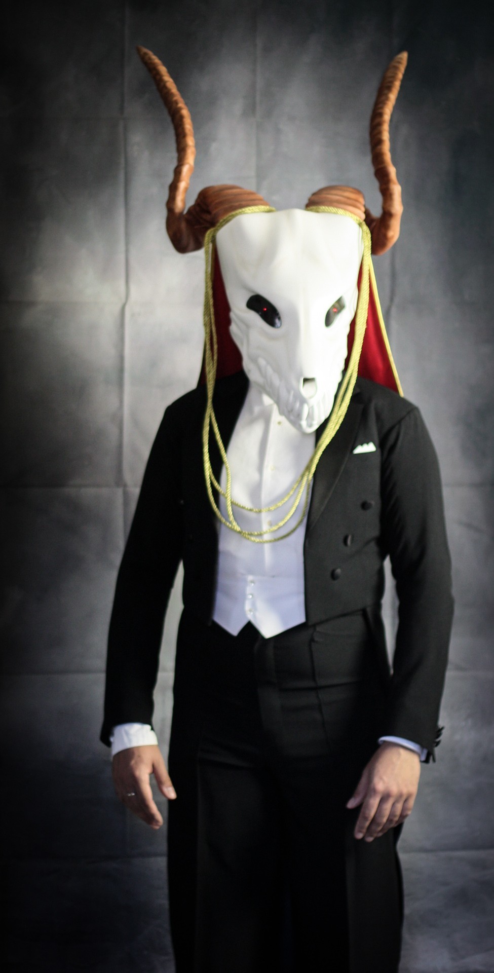 3D printable Elias Ainsworth Mask | The Ancient Magus' Bride Mask ...