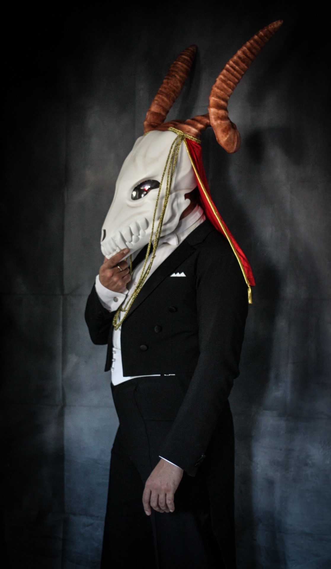 3D printable Elias Ainsworth Mask | The Ancient Magus' Bride Mask ...