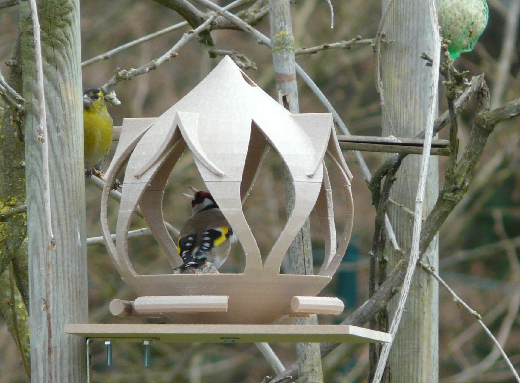 STL file Feeder V2 🐦 ・Model to download and 3D print・Cults