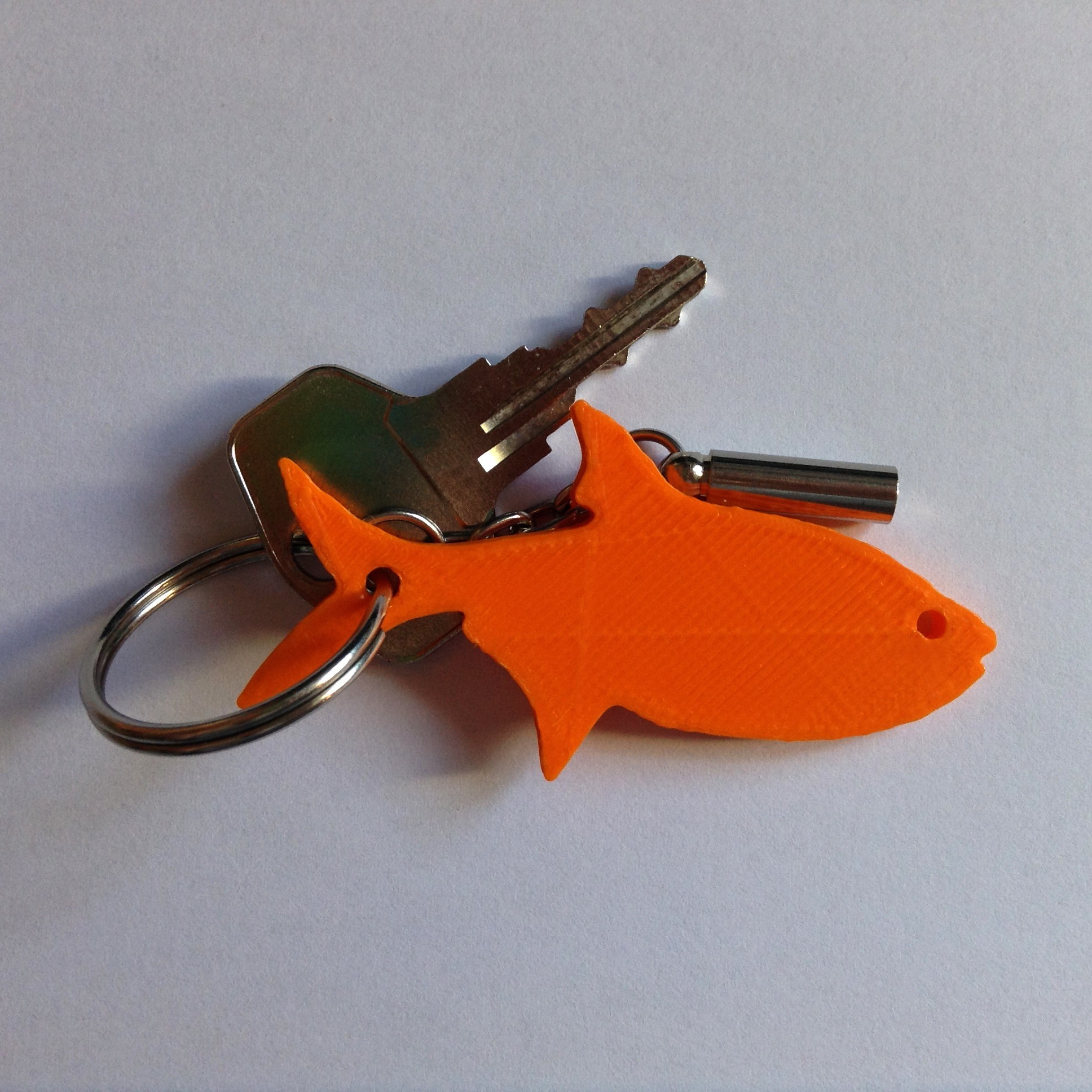 🐠 Fish Keychain・Free STL File for ・Cults