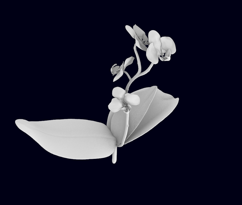 🌿 Orchid plant for decoration・Free STL File for 3D printing・Cults