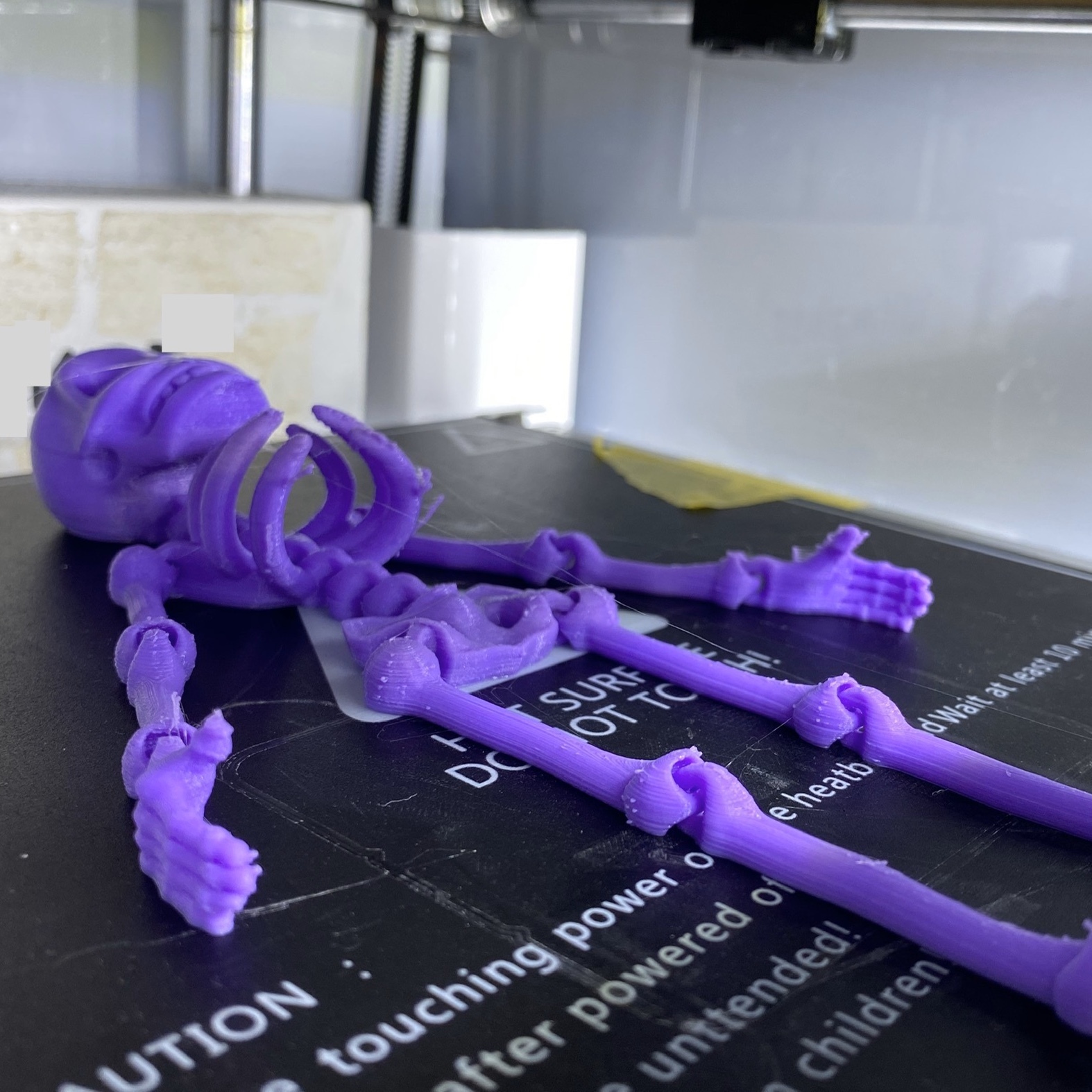 💀 Cute Flexi Print-in-Place Skeleton・3D Print with the SoloSculptor ...