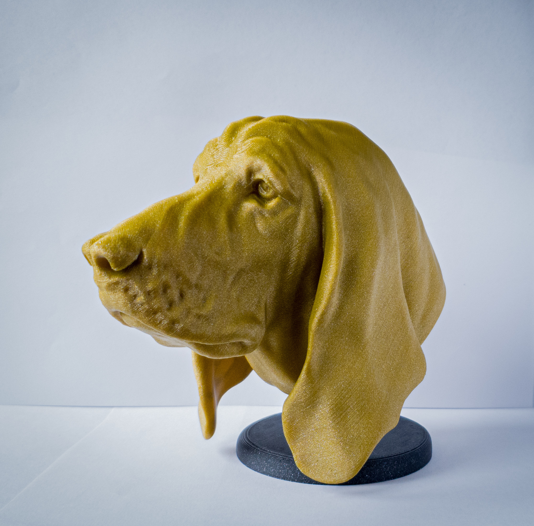 STL file Basset Hound 🐕 ・Model to download and 3D print・Cults