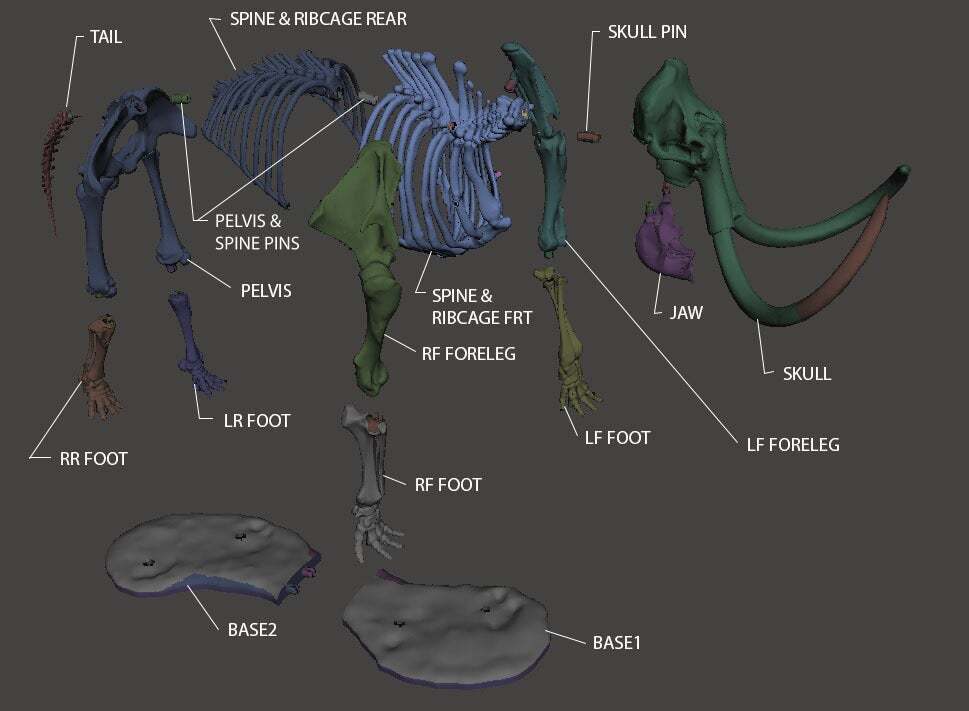Free STL file Woolly Mammoth Skeleton 🦣 ・3D printable object to ...