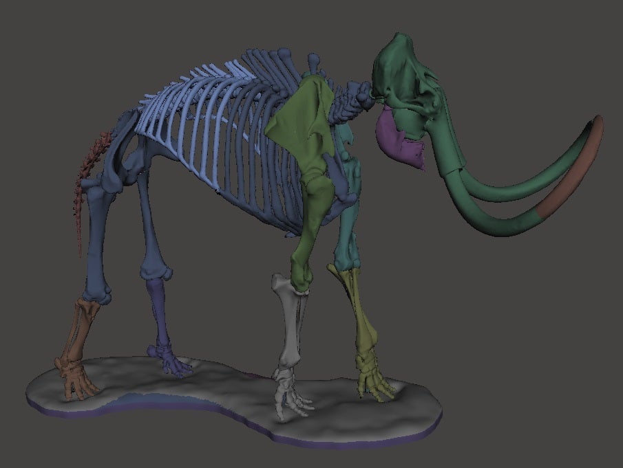 Free STL file Woolly Mammoth Skeleton 🦣 ・3D printable object to ...