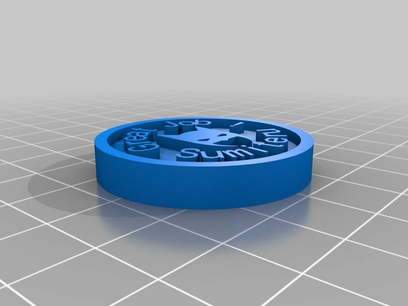 Free STL file sumiteru coin 🪙 ・3D printer model to download・Cults