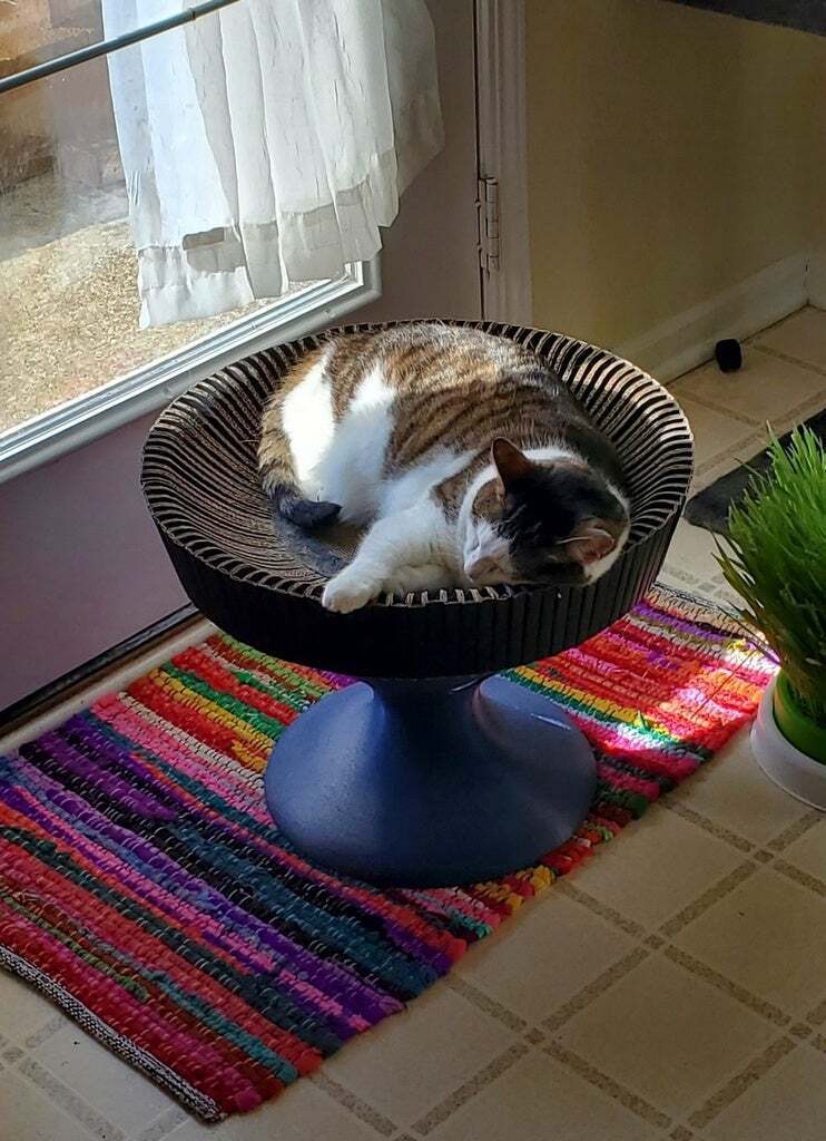 Free STL file Katris Nest Pedestal 🪺 ・3D printable model to download・Cults