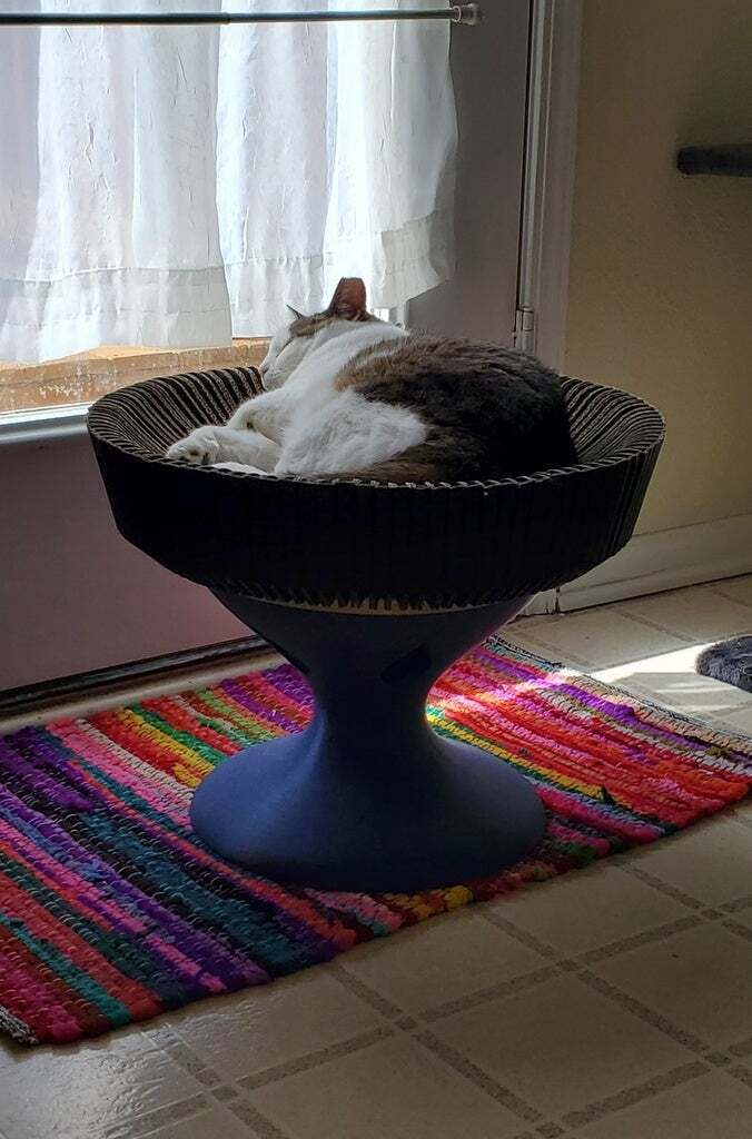 Free STL file Katris Nest Pedestal 🪺 ・3D printable model to download・Cults