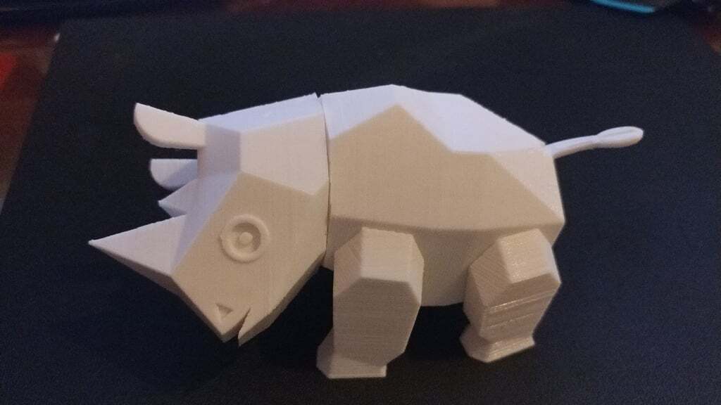 3D printing Rhino・Cults