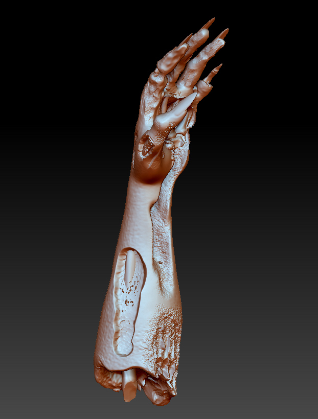 hand・Free OBJ File for ・Cults