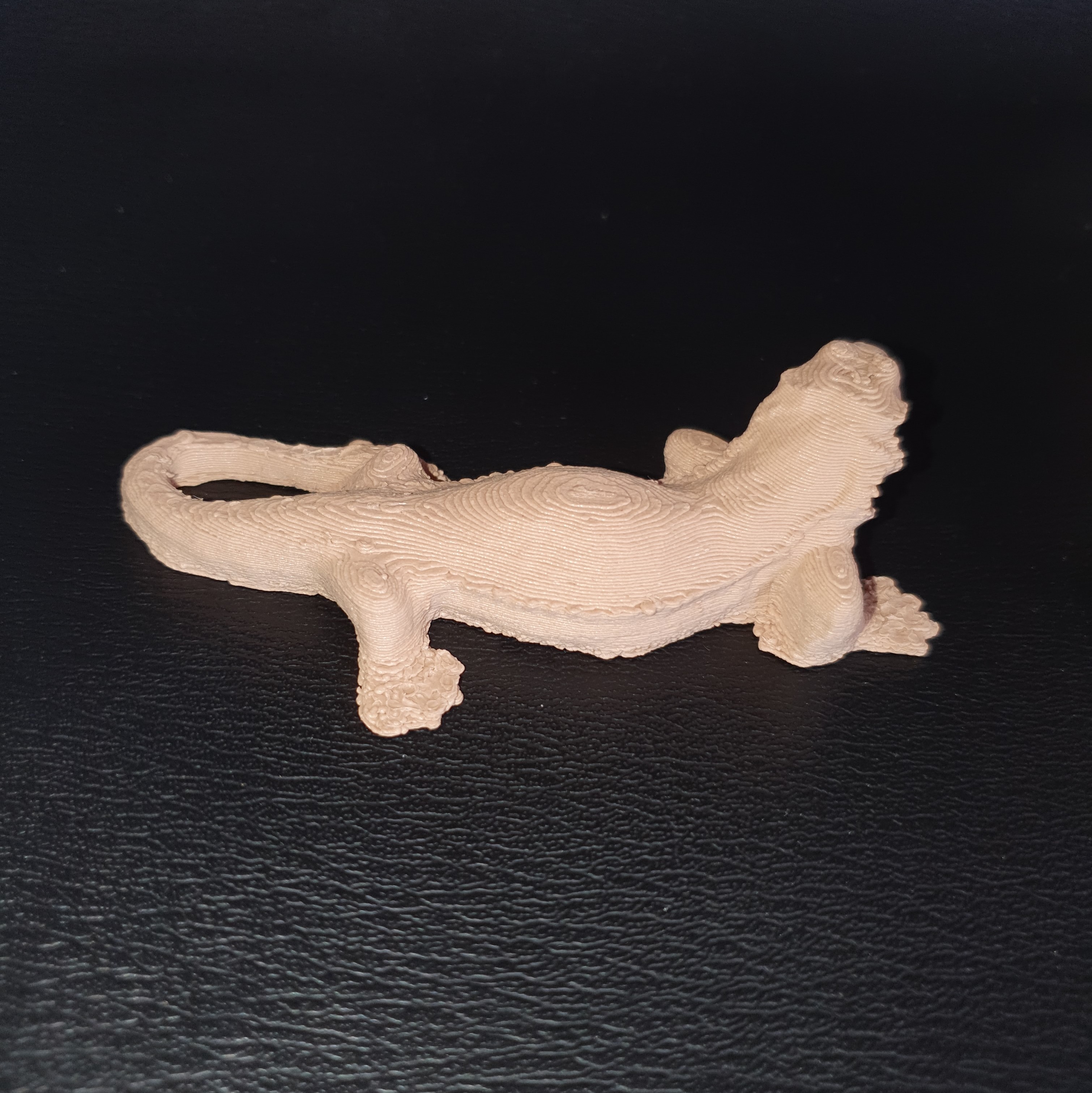 STL file lizard (scan with phone, process with (recap photo) on pc) 🦎 ...