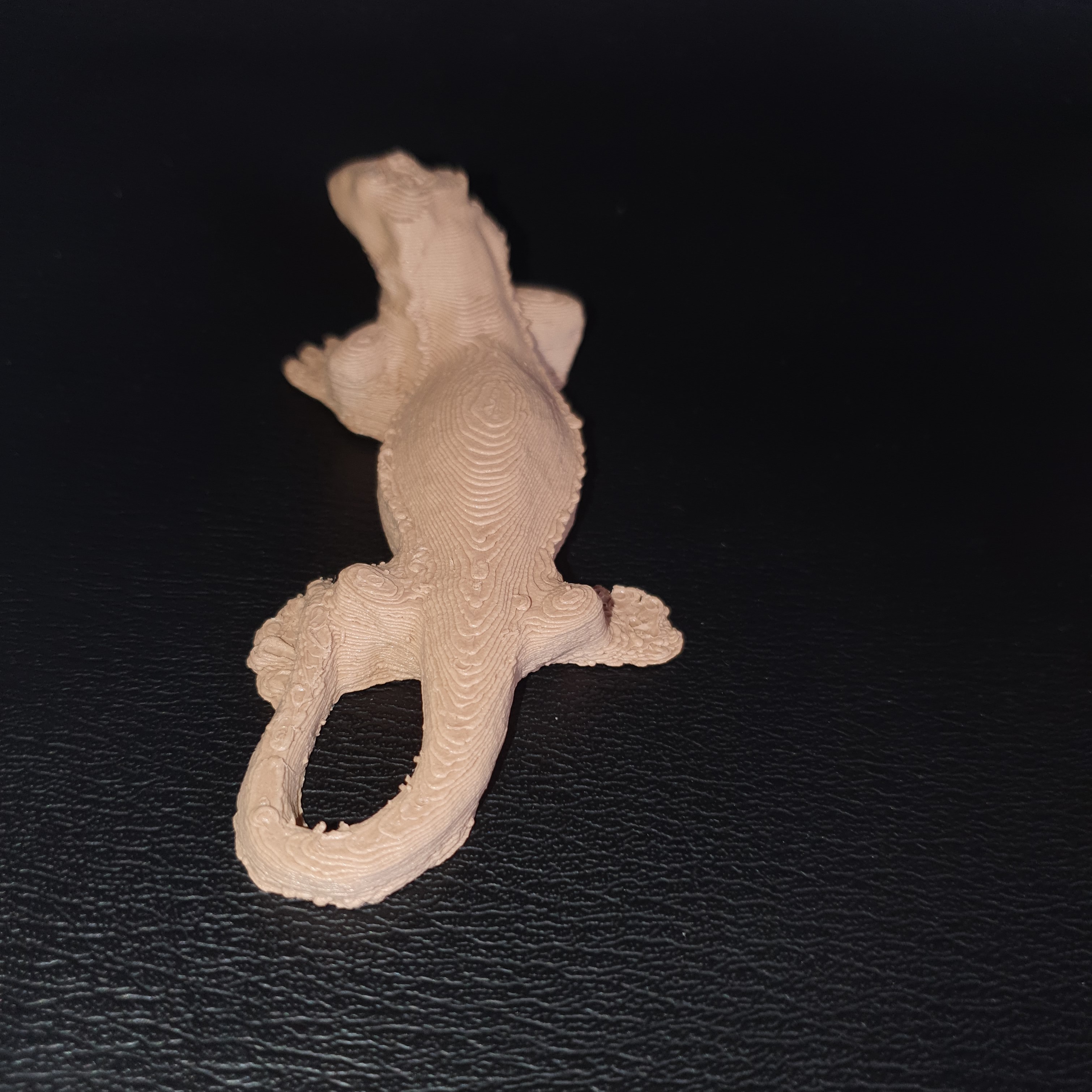 STL file lizard (scan with phone, process with (recap photo) on pc) 🦎 ...