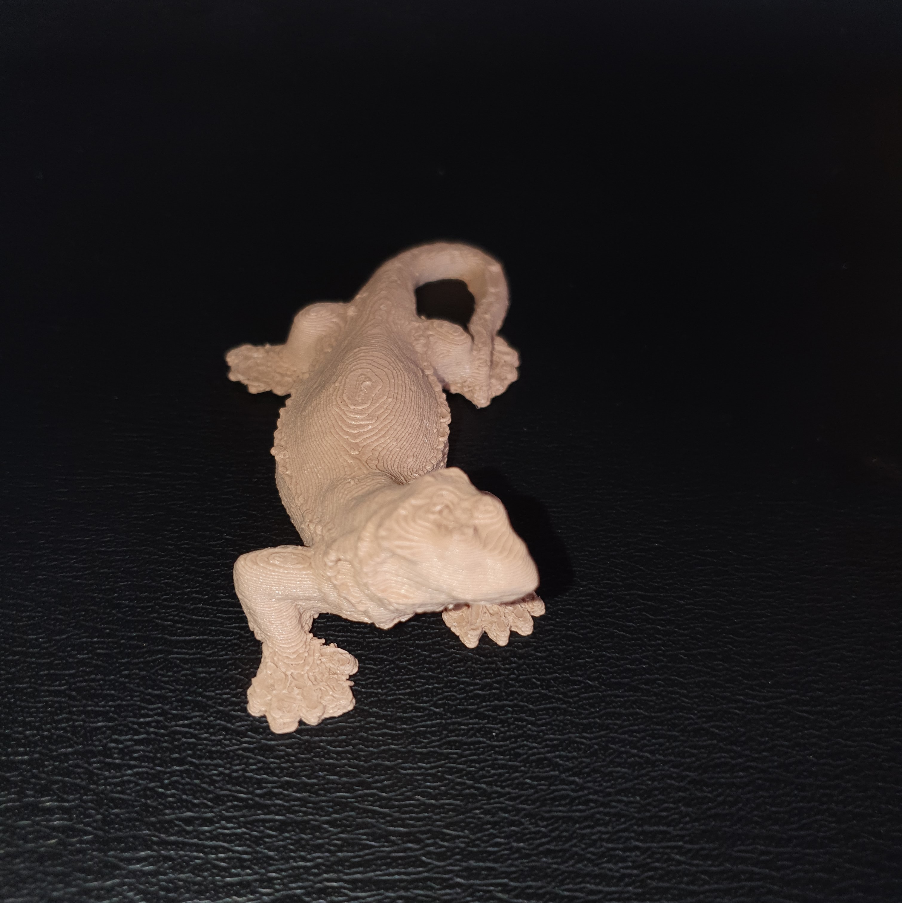 STL file lizard (scan with phone, process with (recap photo) on pc) 🦎 ...