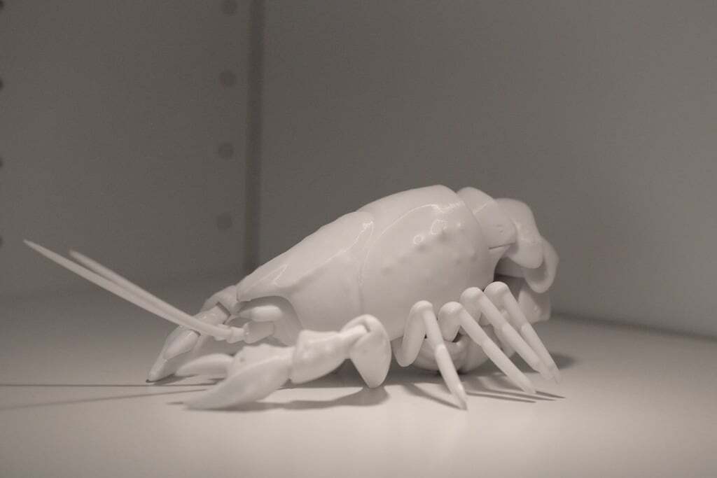 3D printable Articulated Crayfish・Cults