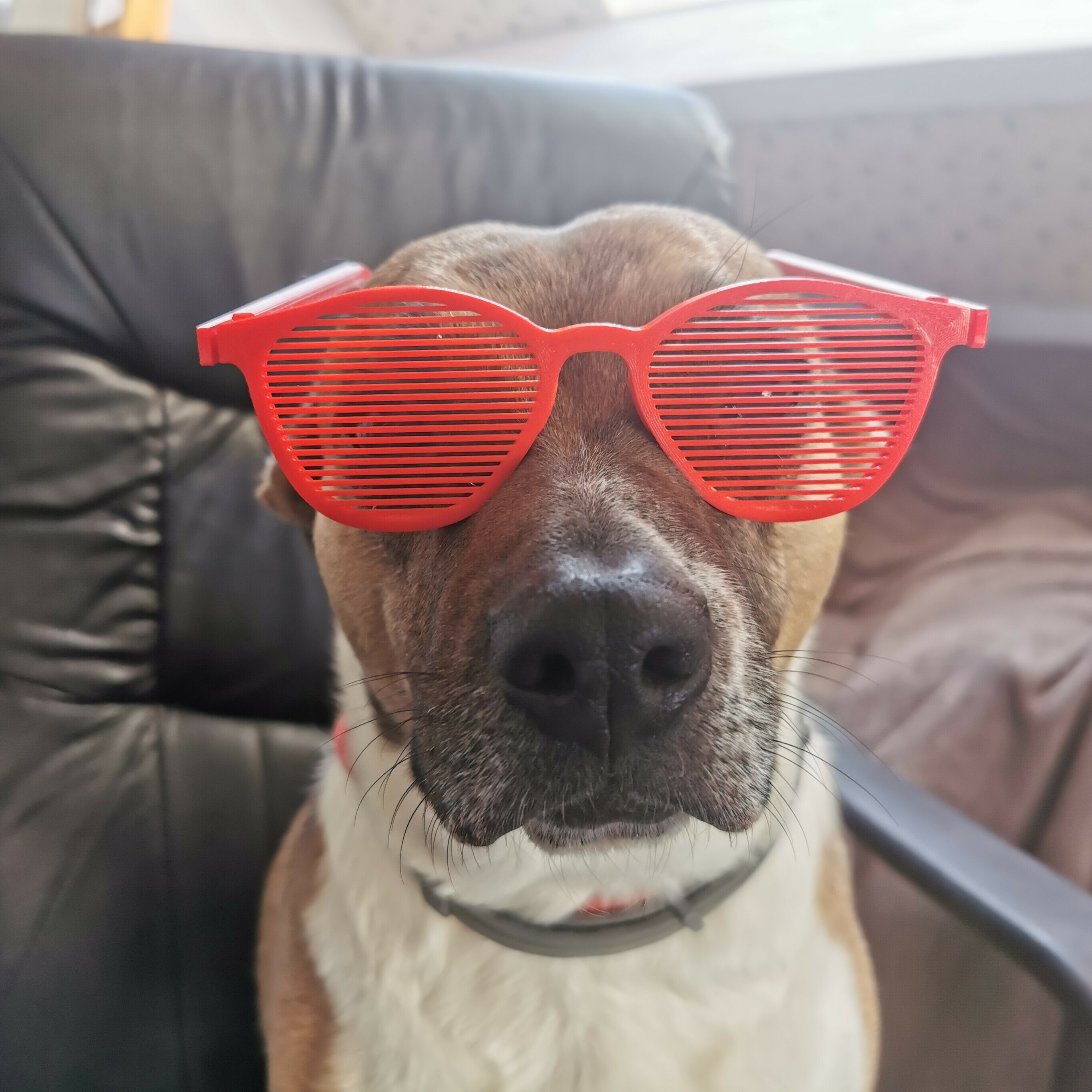 Free STL file Sunglasses without lenses 🕶️ ・Template to download and 3D ...