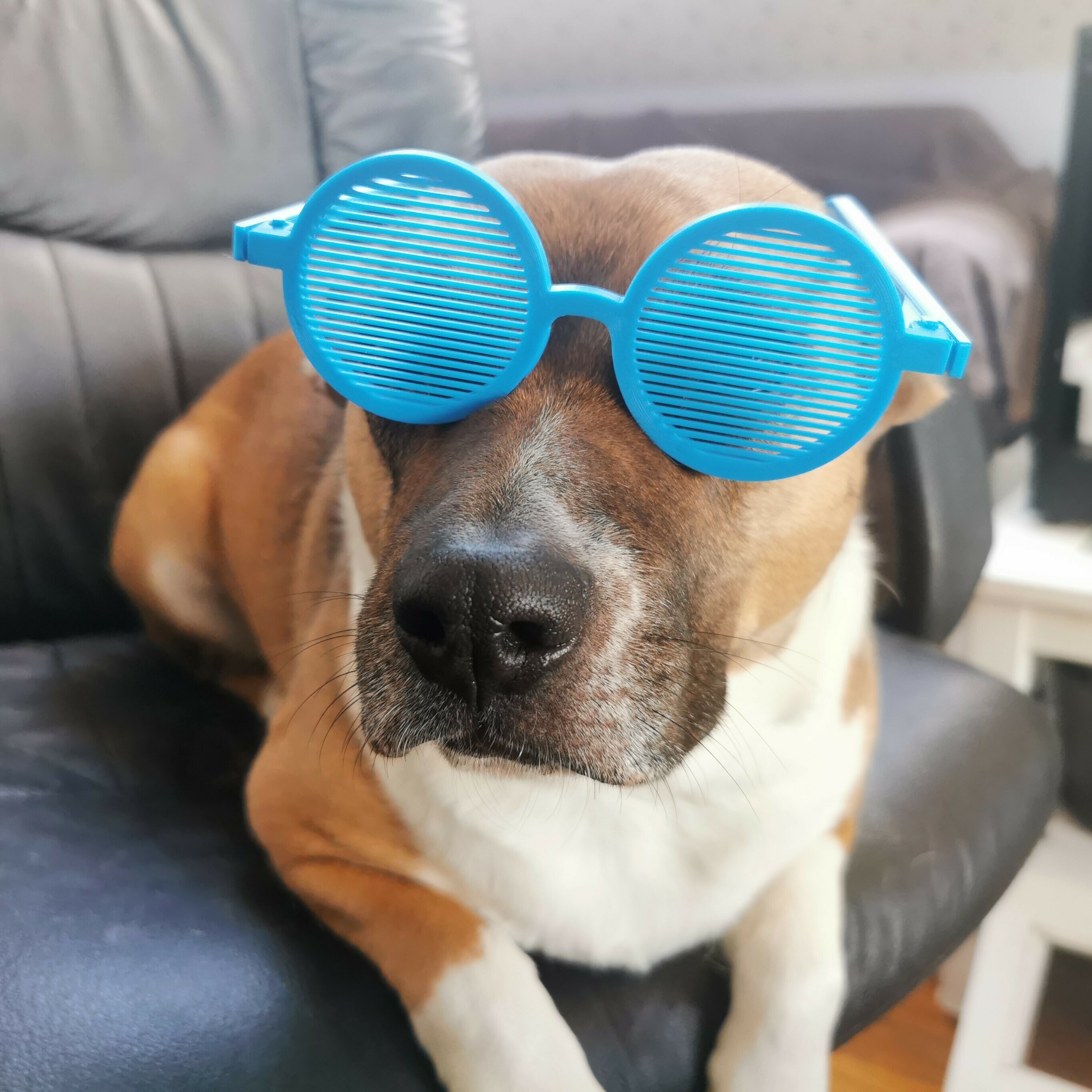 Free STL file Sunglasses without lenses 🕶️ ・Template to download and 3D ...
