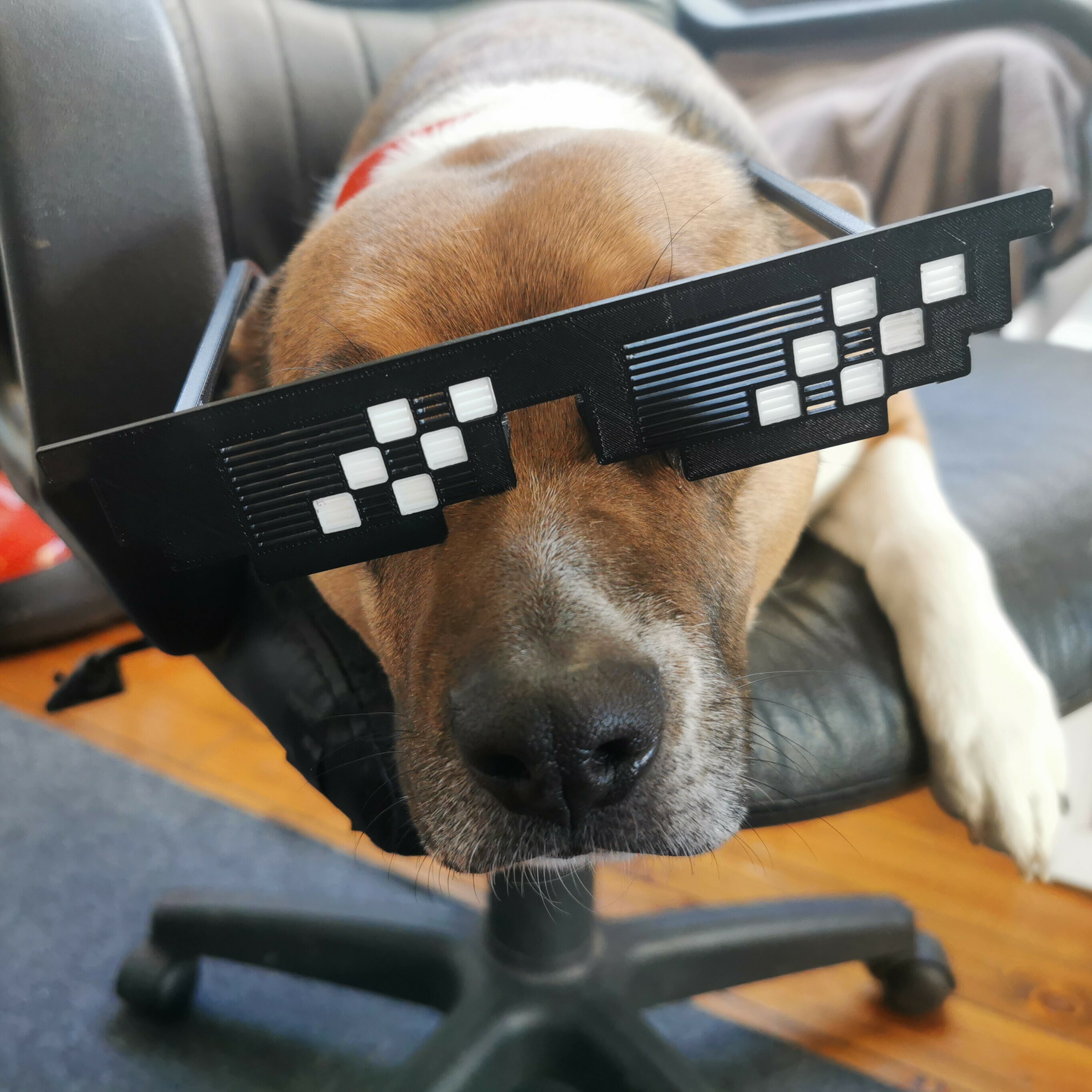 Free STL file Sunglasses without lenses 🕶️ ・Template to download and 3D ...