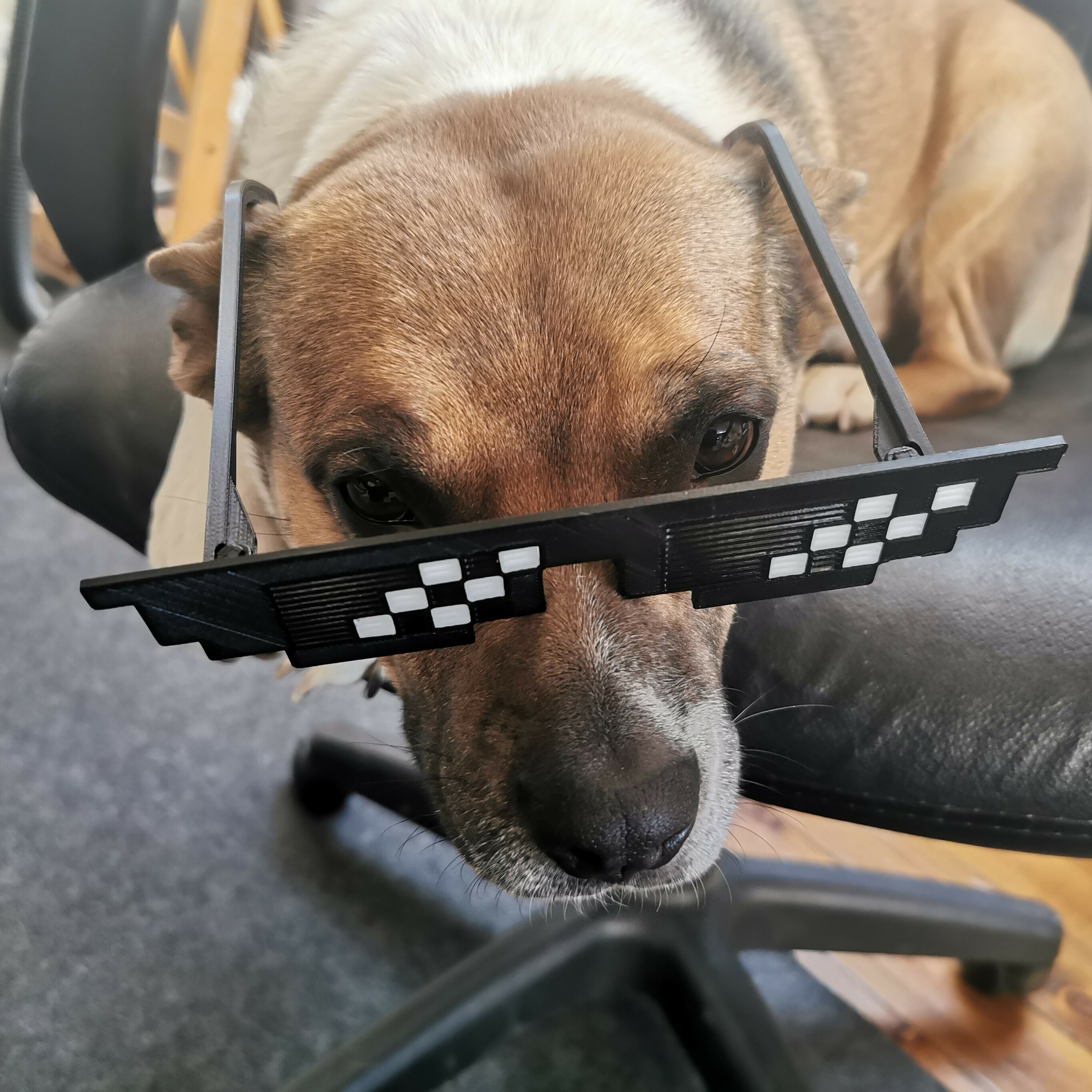 Free STL file Sunglasses without lenses 🕶️ ・Template to download and 3D ...