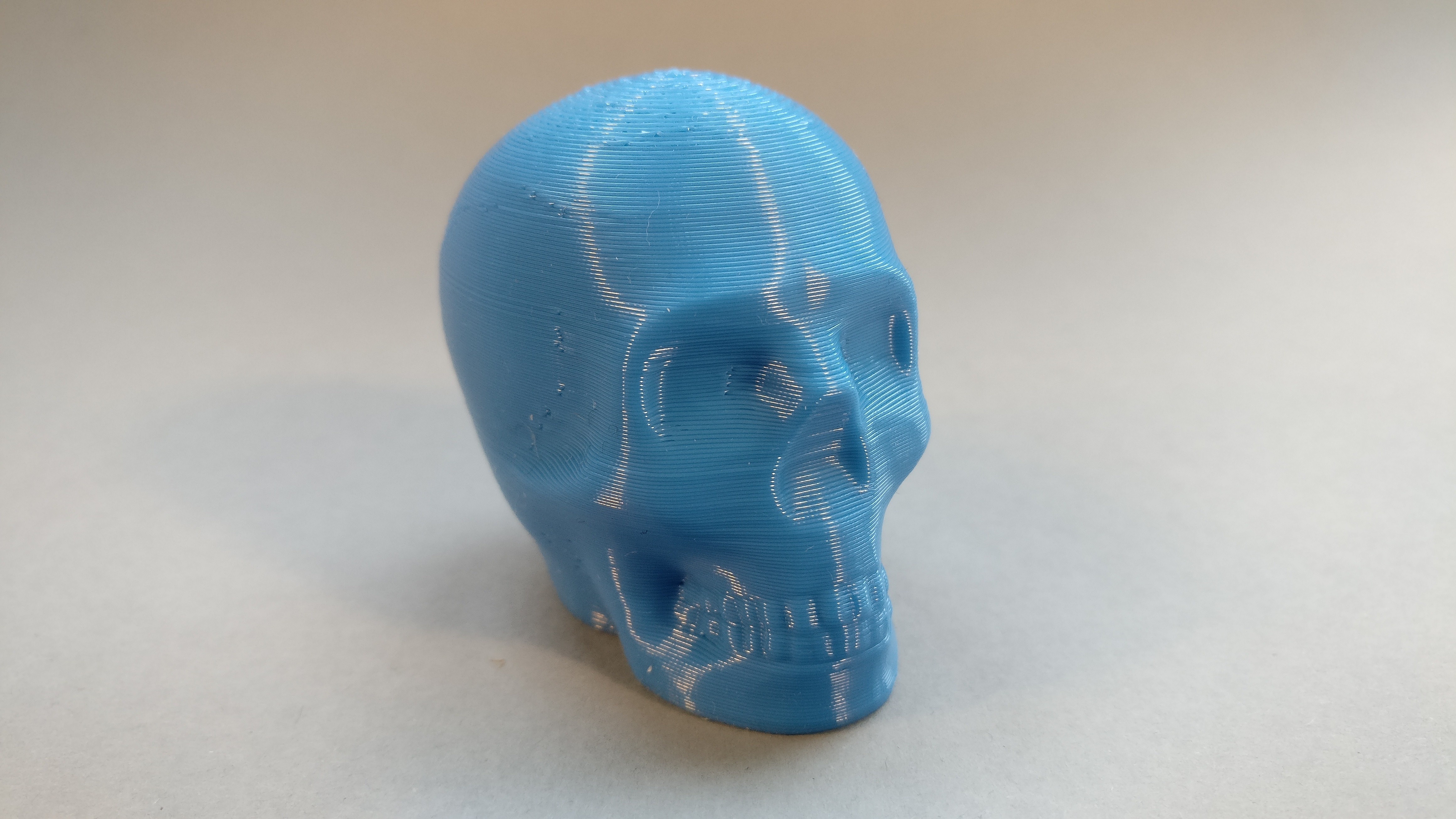 💀 Riley the printable Skull・Free STL File for ・Cults