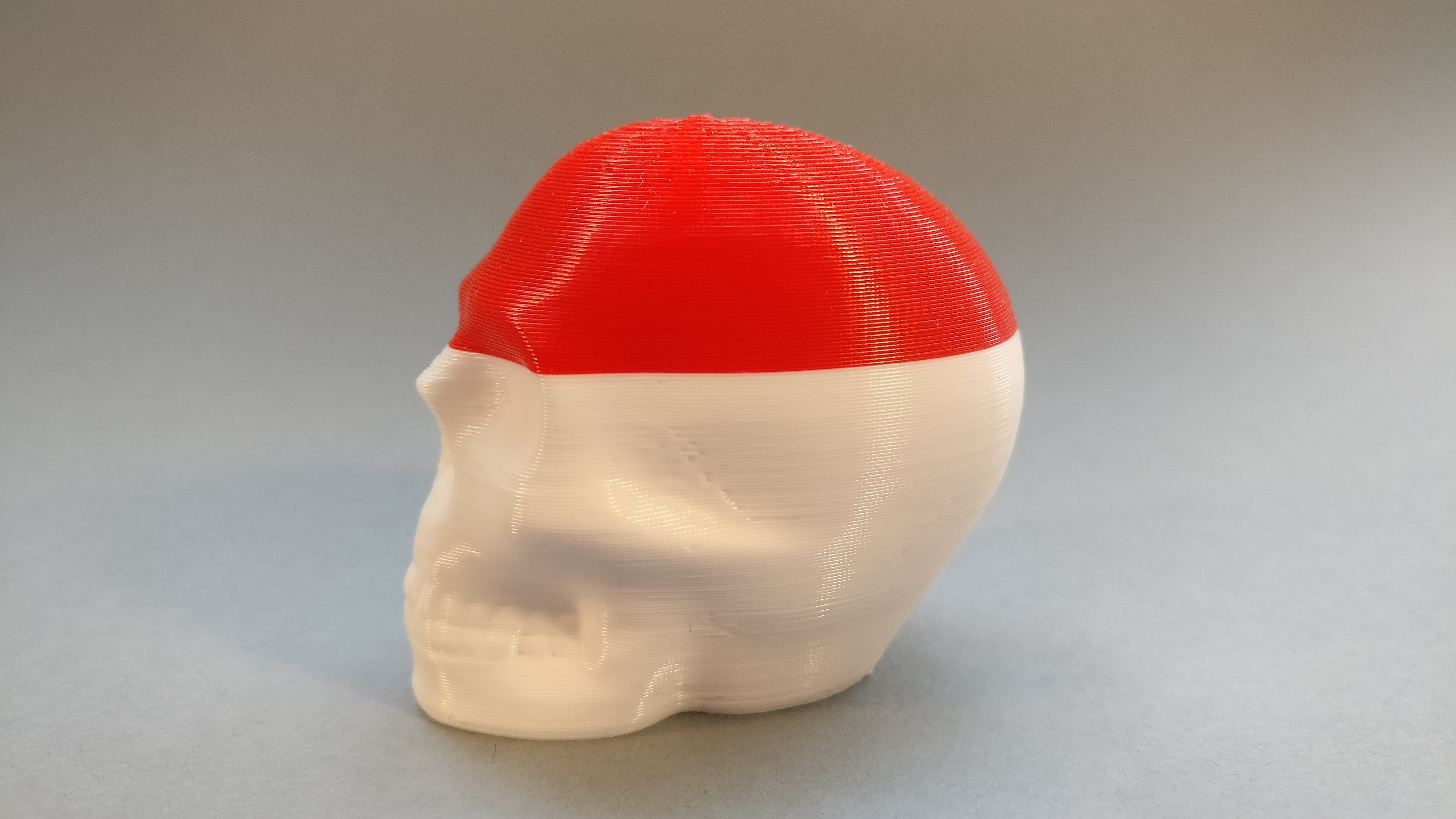 💀 Riley the printable Skull・Free STL File for ・Cults