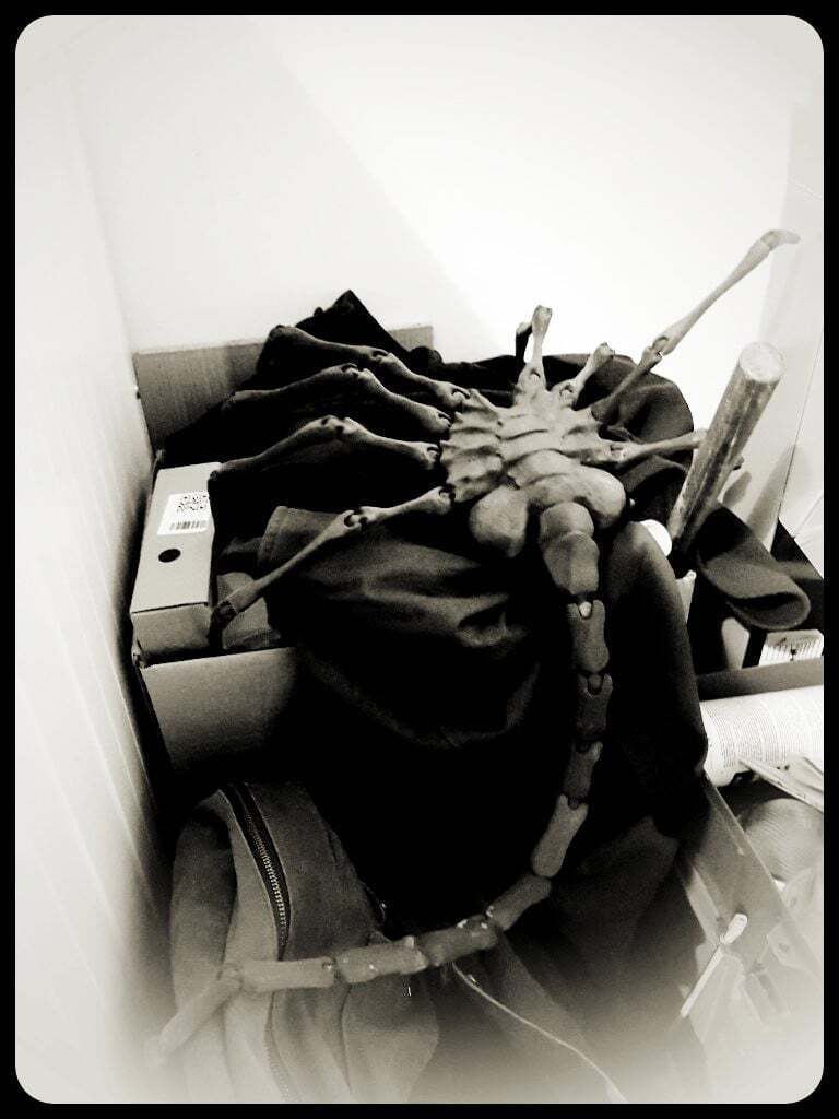 👽 Agisis Ultimate Alien Face Hugger (40in x 23in - LIFE SIZE!)・3D Print ...