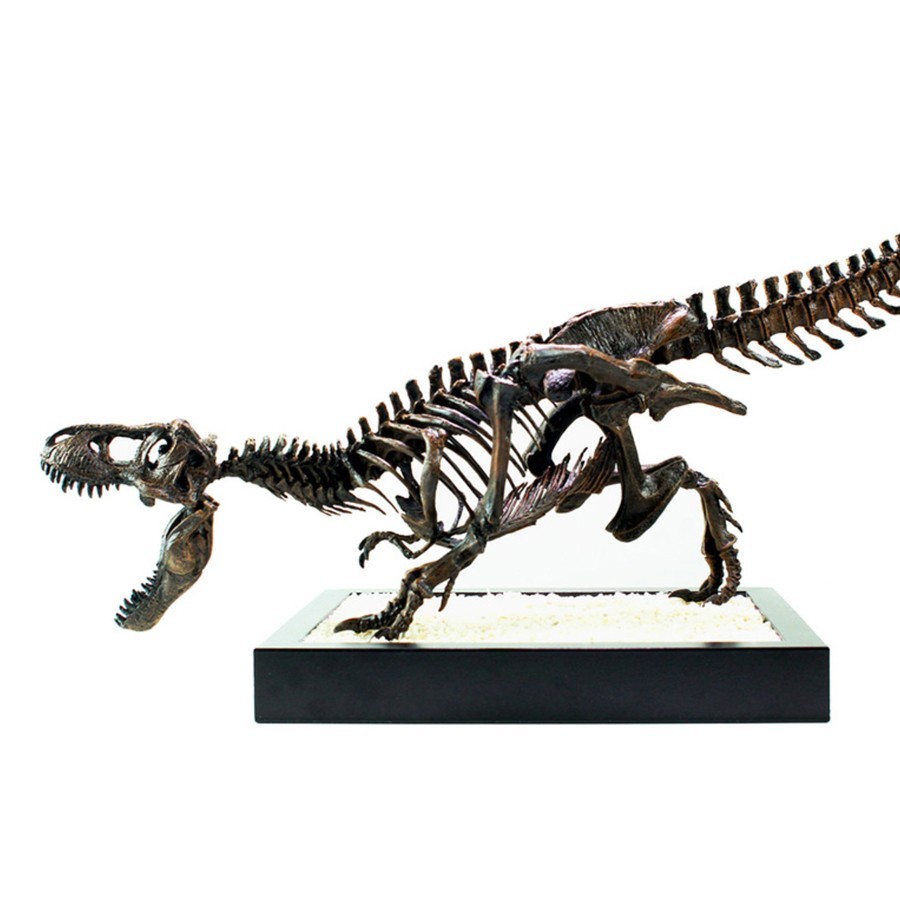 🦖 T-Rex Skeleton - Leo Burton Mount・Free STL File for ・Cults