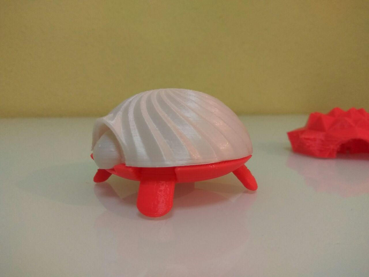 3D printing Squishy Turtle • made with Anet A8・Cults