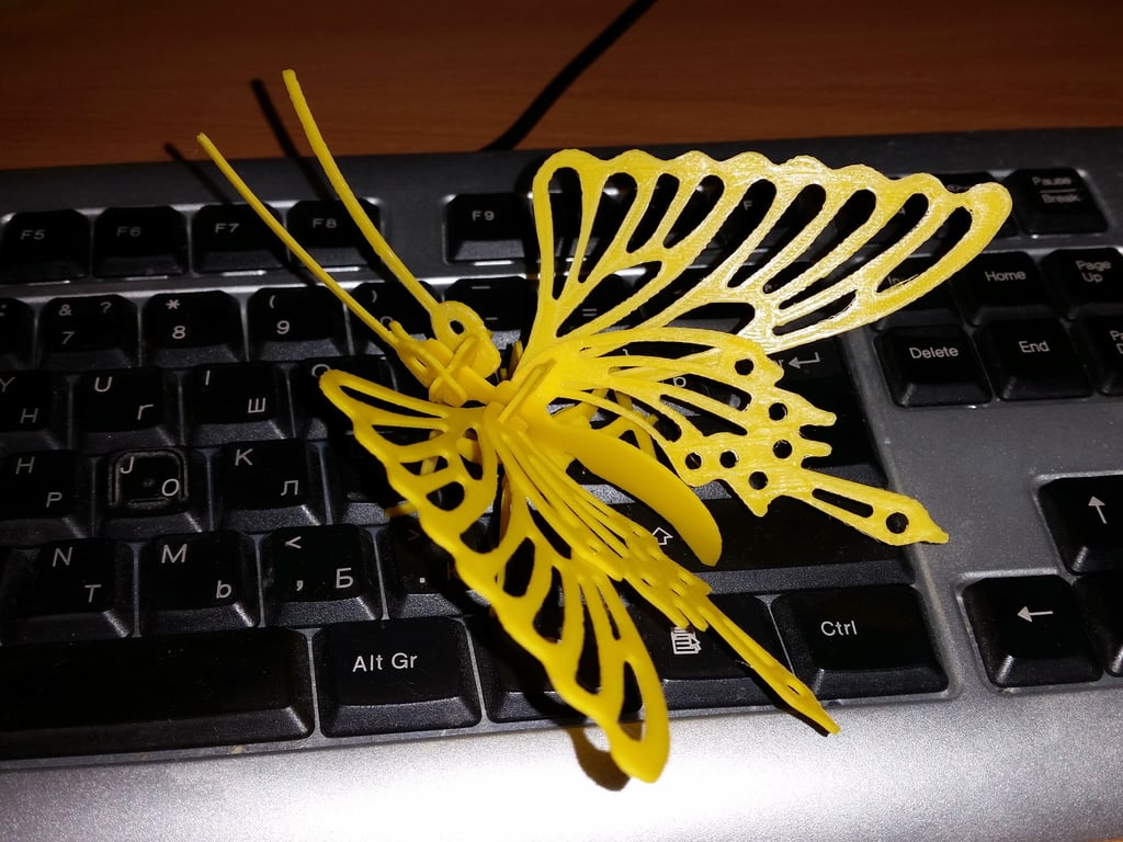 3D printed Butterfly 3D Printable・Cults