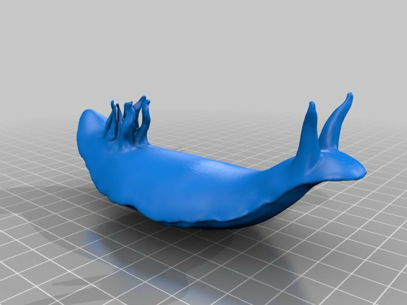 Free STL file 海蛞蝓Sea slugs by orangeteacher 🎲・3D printer design to ...