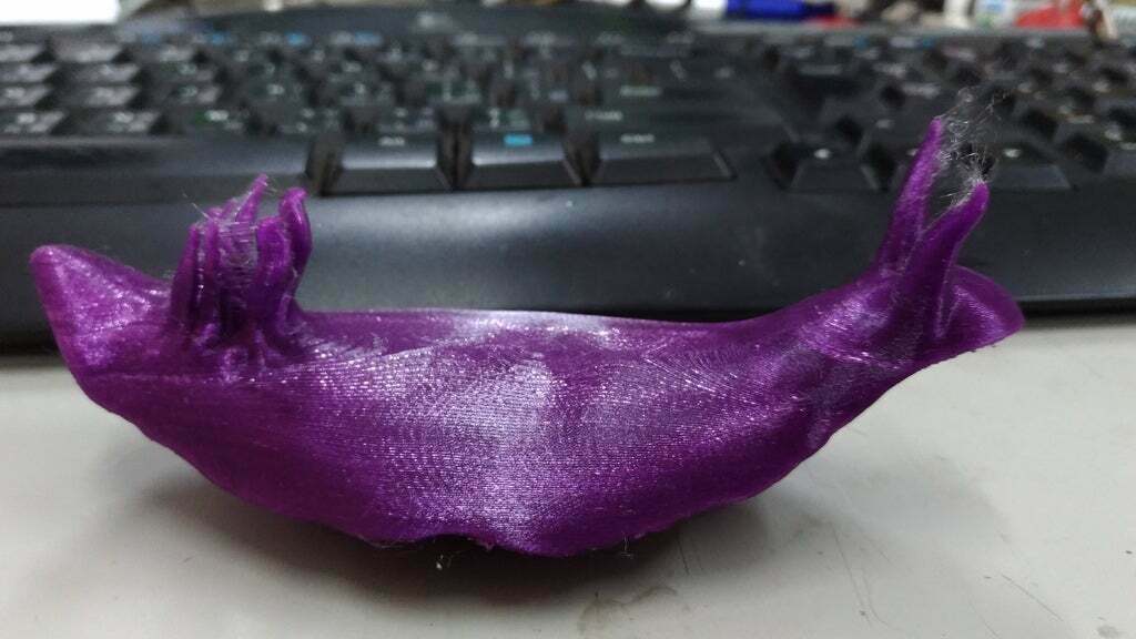 Free STL file 海蛞蝓Sea slugs by orangeteacher 🎲・3D printer design to ...