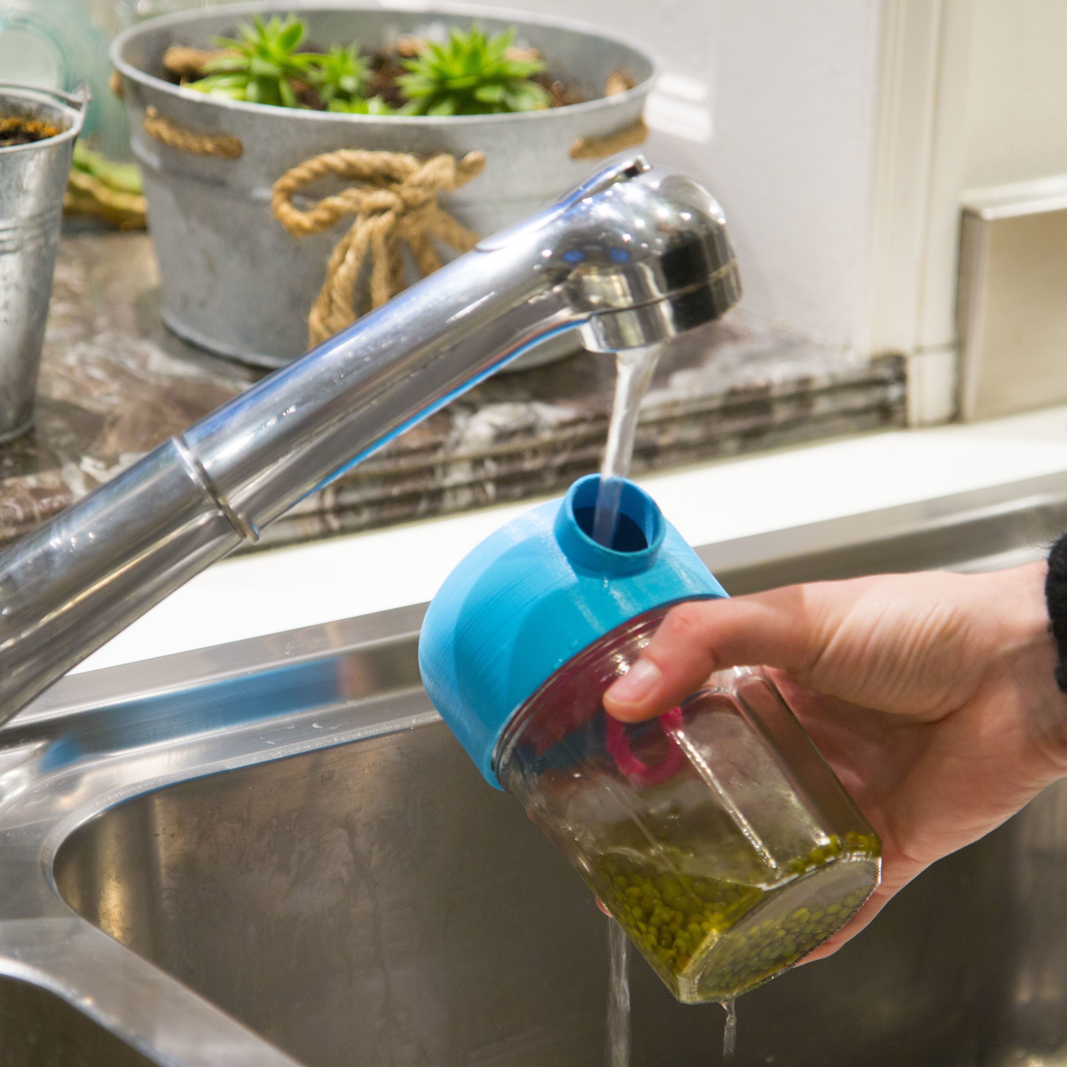 🔪 Sproot, seed sprouter・ STL File for ・Cults