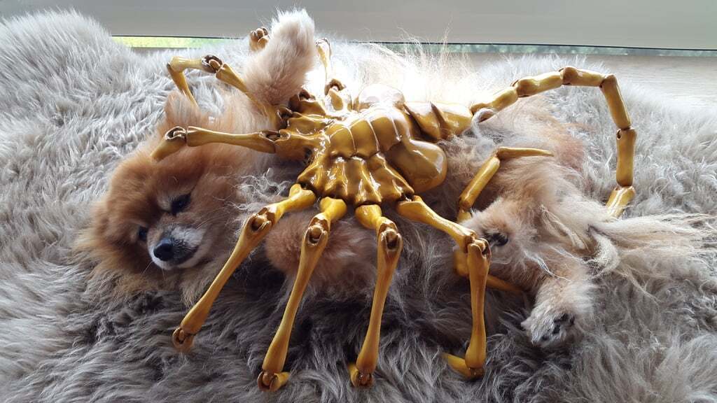 3D printing Agisis Ultimate Alien Face Hugger (40in x 23in - LIFE SIZE ...