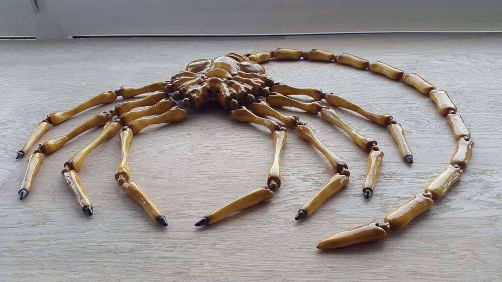 3D printing Agisis Ultimate Alien Face Hugger (40in x 23in - LIFE SIZE ...