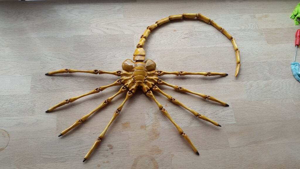3D printing Agisis Ultimate Alien Face Hugger (40in x 23in - LIFE SIZE ...