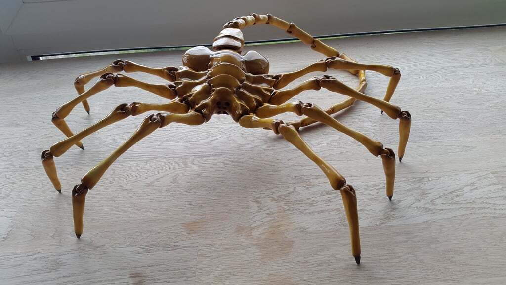 3D printing Agisis Ultimate Alien Face Hugger (40in x 23in - LIFE SIZE ...