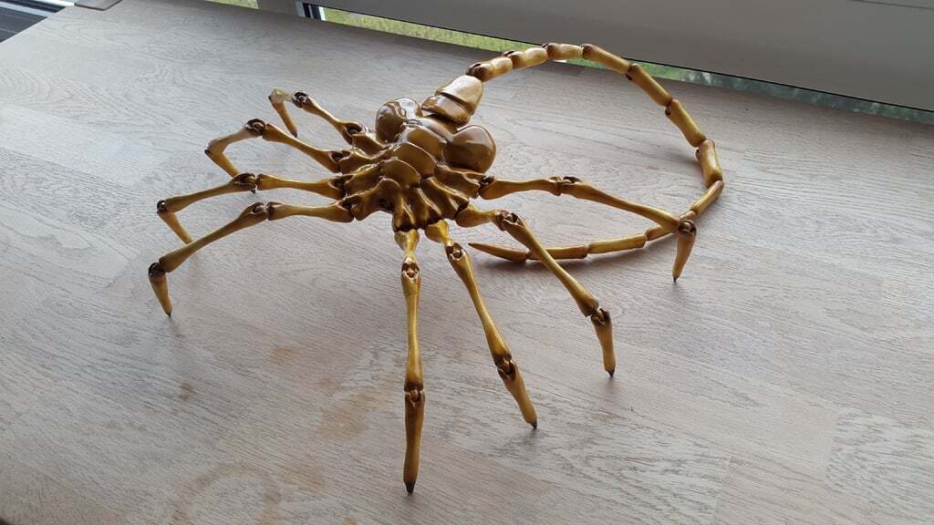 3D printing Agisis Ultimate Alien Face Hugger (40in x 23in - LIFE SIZE ...