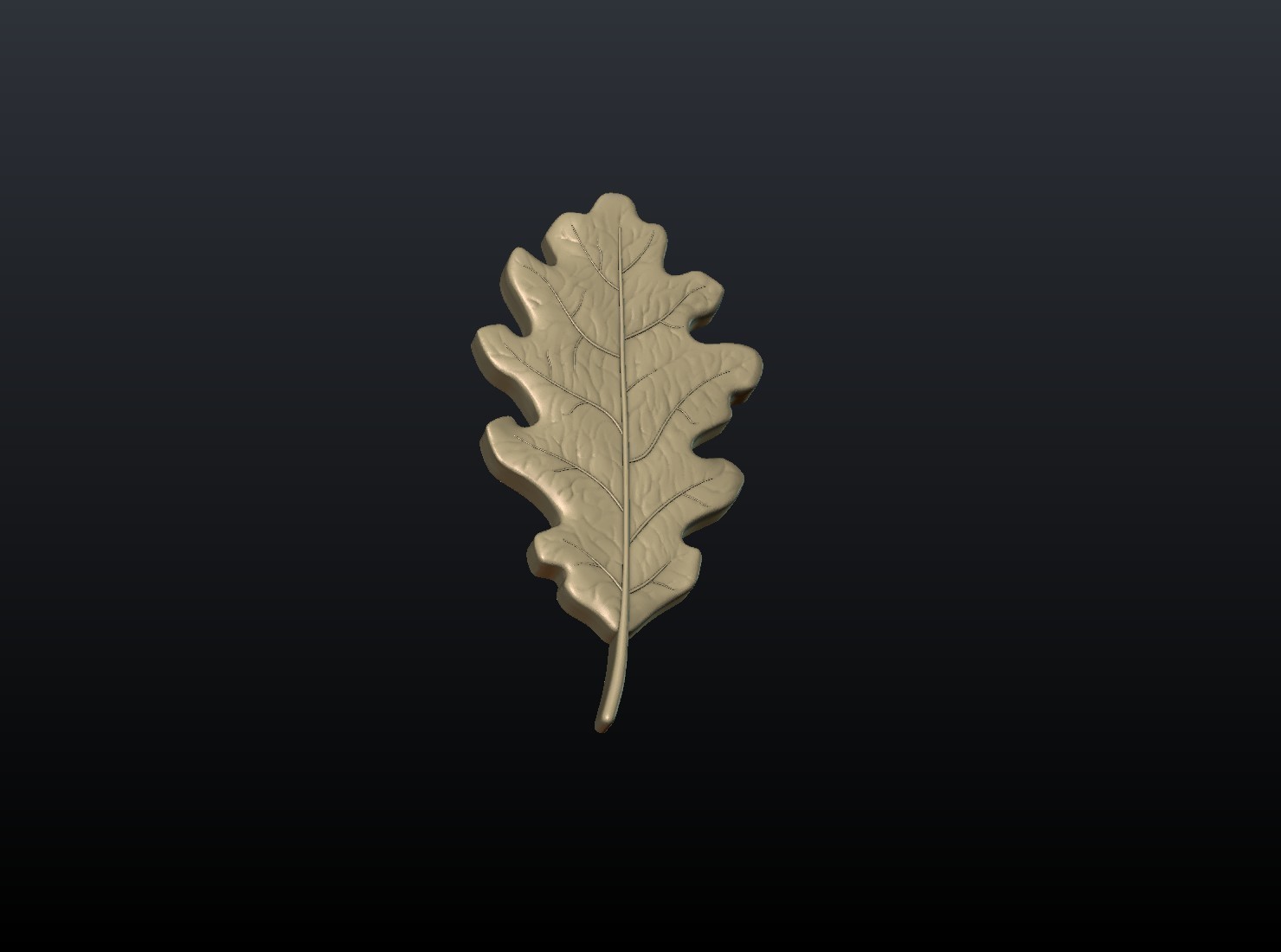 🌿 Oak Leaf・ STL File for ・Cults