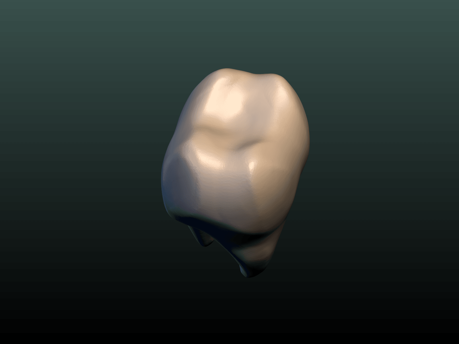 STL file Tooth 🦷 (OBJ)・Template to download and 3D print・Cults